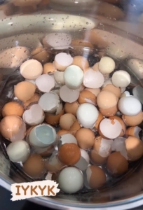 How to Make Calcium Powder from Eggshells and Why It’s a Must-Try ...