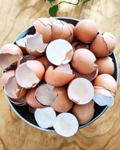 How to Make Calcium Powder from Eggshells and Why It’s a Must-Try ...